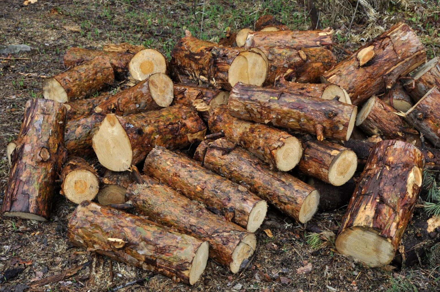 How Many Logs in a Builder's Bag? (Things You Should Know ...